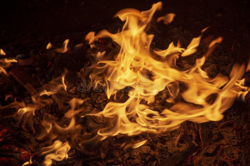 Fire burning wood stock photo. Image of fire, heat, color - 207891378