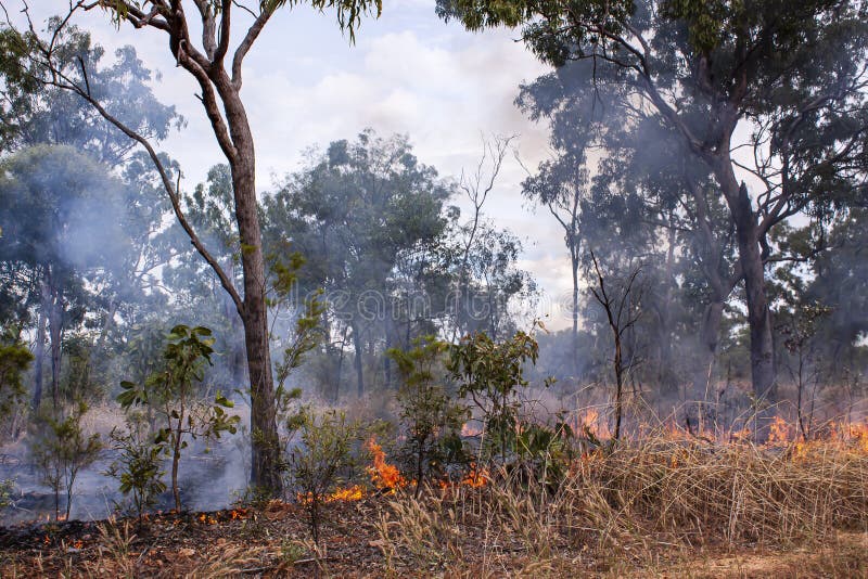 Bush Fire Which Deliberately Set As Preventive Measure Against Wild ...