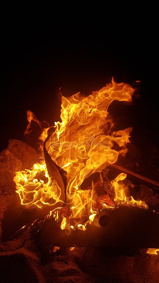 478 Beautifulness Stock Photos - Free & Royalty-Free Stock Photos from ...