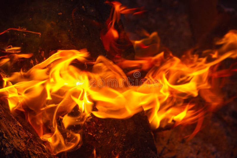 Fire in Its Most Common Form Can Lead To a Fire that Can Cause Physical ...