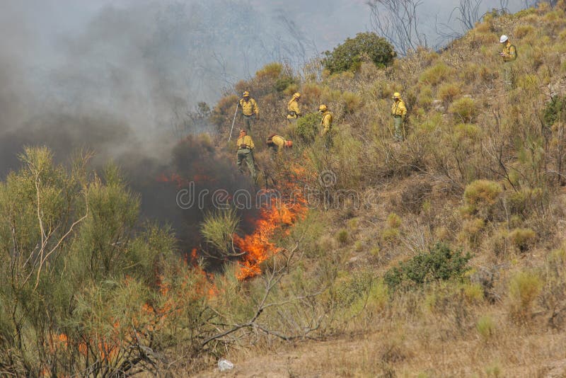 Fire land stock photo. Image of teamwork, safety, protective - 173749774