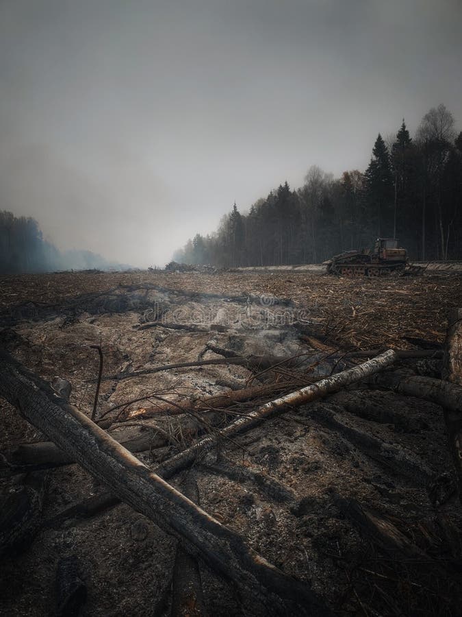 Fire land stock photo. Image of wood, land, shot, fire - 202294838
