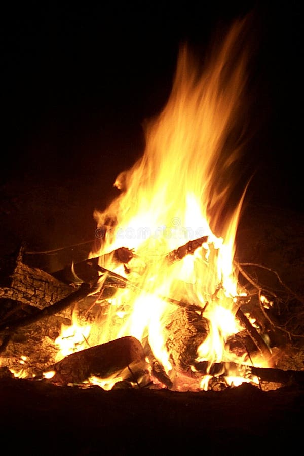 Fire Light stock photo. Image of trees, heat, cracked, trwigs - 136718