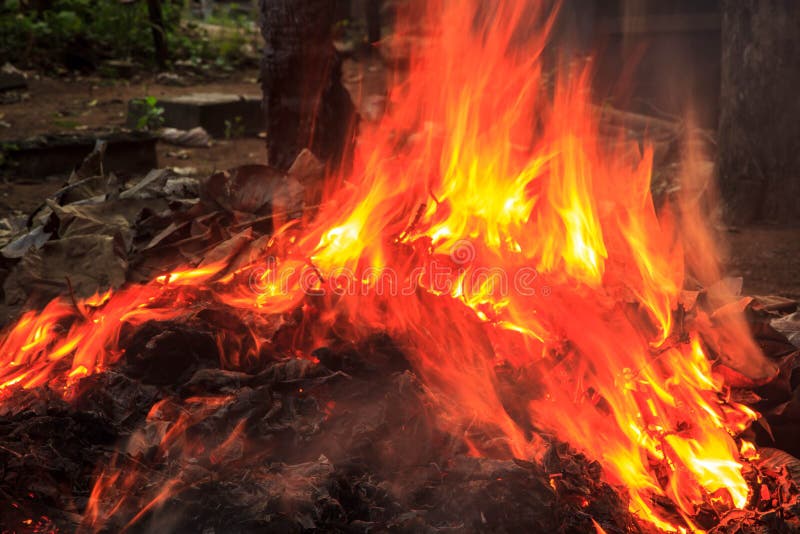 Fire light smoke tree stock image. Image of heat, burnt - 138443181