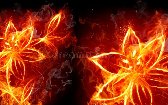 Flame Lily Stock Illustrations – 482 Flame Lily Stock Illustrations ...