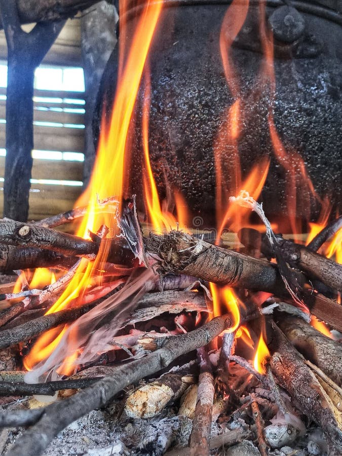 The Fire is Lit by Burning Wood Stock Photo - Image of fire, meat ...