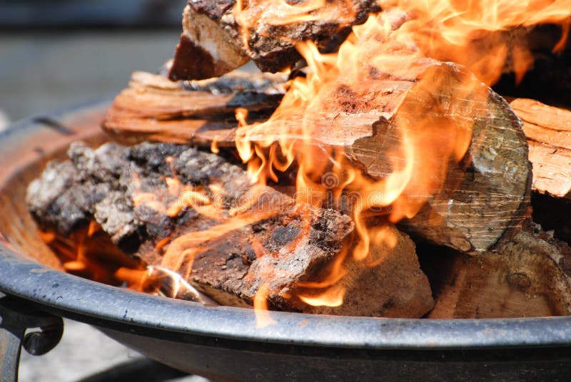 Fire stock image. Image of romance, tree, coals, natural - 31051323