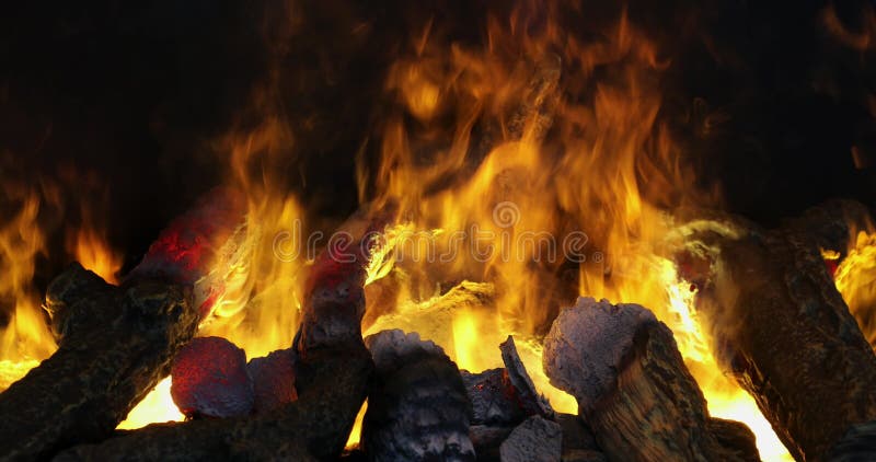 Fire Logs Effect stock footage. Video of video, smoke - 204537002