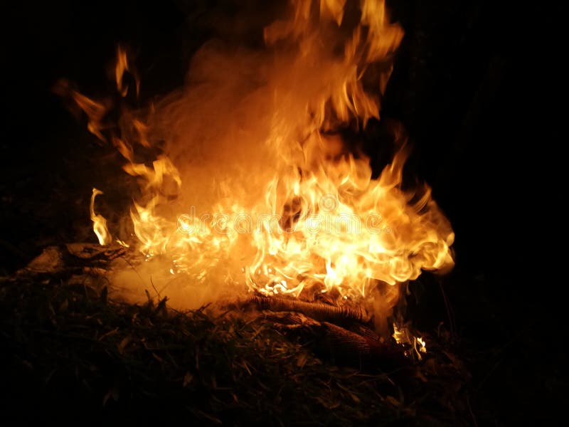 Fire Look-out Tower in Terra Nova Stock Photo - Image of canada, fire ...