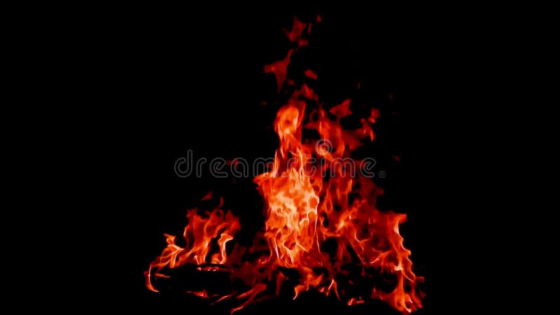 Fire Looping Isolated Seamless Loop. Looping Fire Element, SMotion Fire ...