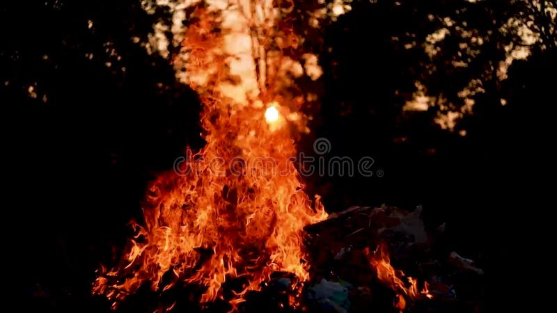 Fire Looping Isolated Seamless Loop. Looping Fire Element, SMotion Fire ...