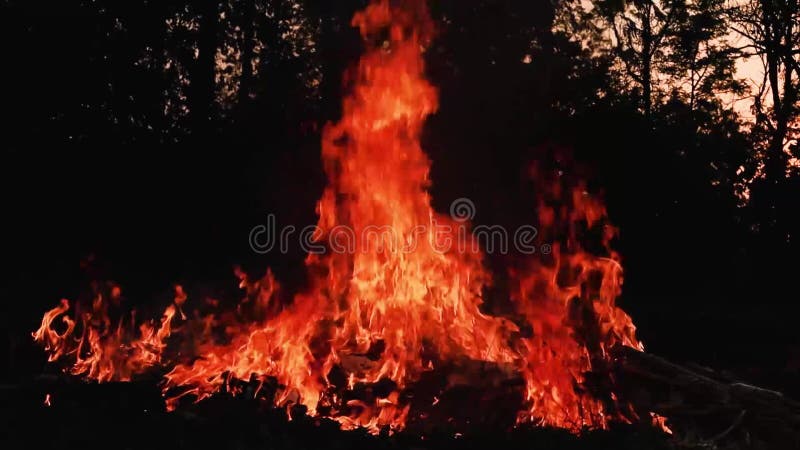 Fire Looping Isolated Seamless Loop. Looping Fire Element, SMotion Fire ...