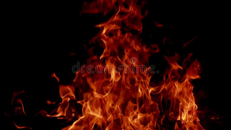 Fire Looping Isolated Seamless Loop. Looping Fire Element, SMotion Fire ...