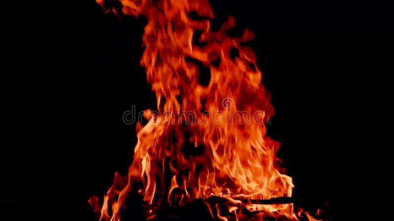 Fire Looping Isolated Seamless Loop. Looping Fire Element, SMotion Fire ...
