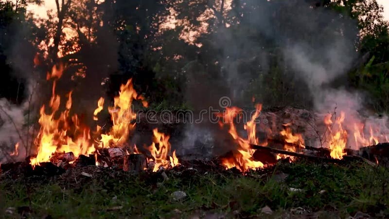 Fire Looping Isolated Seamless Loop. Looping Fire Element, SMotion Fire ...