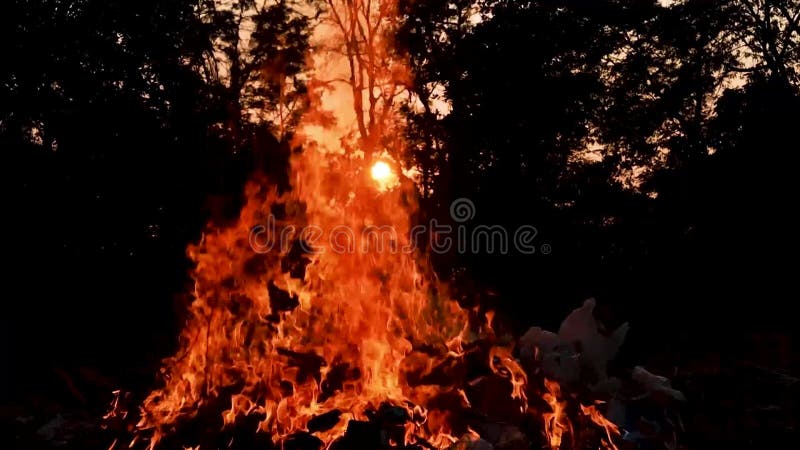 Fire Looping Isolated Seamless Loop. Looping Fire Element, SMotion Fire ...