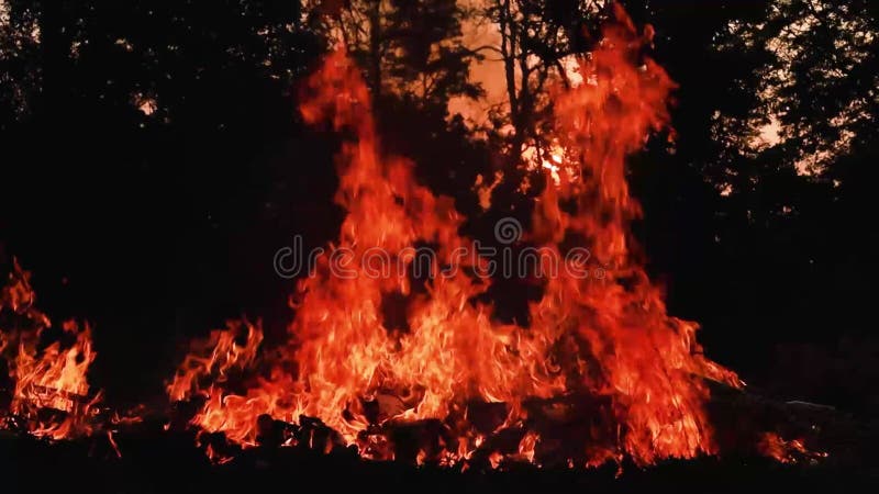 Fire Looping Isolated Seamless Loop. Looping Fire Element, SMotion Fire ...