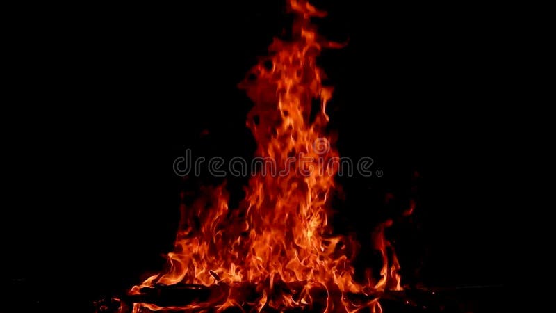 Fire Looping Isolated Seamless Loop. Looping Fire Element, SMotion Fire ...