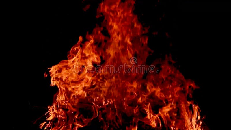 Fire Looping Isolated Seamless Loop. Looping Fire Element, SMotion Fire ...