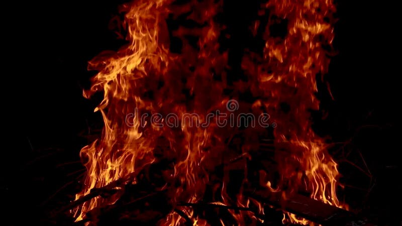 Fire Looping Isolated Seamless Loop. Looping Fire Element, SMotion Fire ...