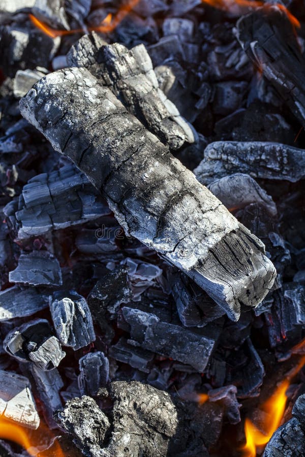 A Fire Made of Logs with a Bright Flame at a Camping while Cooking ...