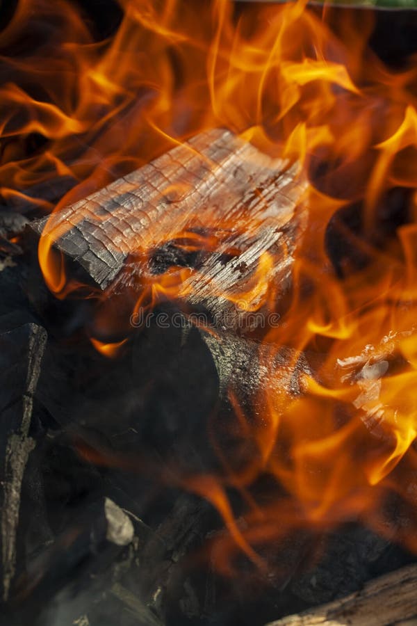 A Fire Made of Logs with a Bright Flame at a Camping while Cooking ...