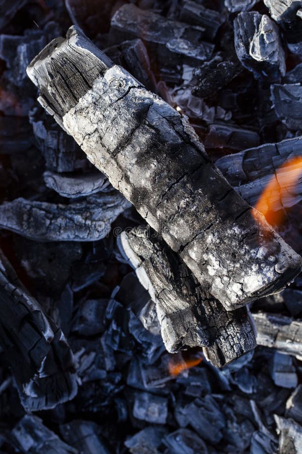 A Fire Made of Logs with a Bright Flame at a Camping while Cooking ...