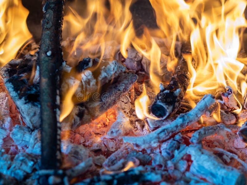 Fire Made with Wood from a Tree To Prepare a Barbecue Stock Image ...