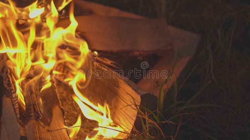 Burning fire stock video. Video of firewood, isolation - 254037665