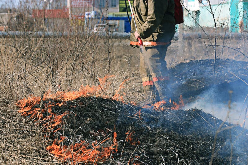Fire man on forest fire stock photo. Image of heat, rescue - 47264182