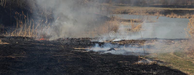 Fire in Marsh, Natural Disaster Stock Image - Image of nature, burnt ...