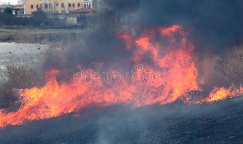 Fire in Marsh, Natural Disaster Stock Photo - Image of flame, burn ...