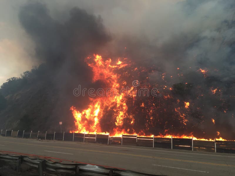 Fire and Massive Flames Burning Next To Road Editorial Photo - Image of ...