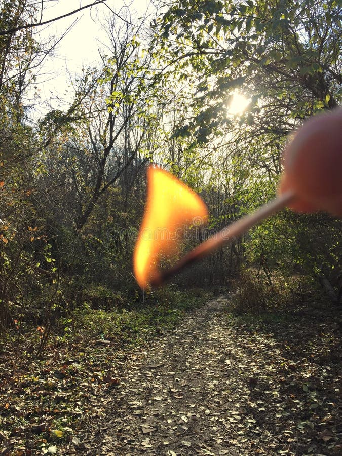 Fire stock photo. Image of light, fire, trail, nature - 74312016