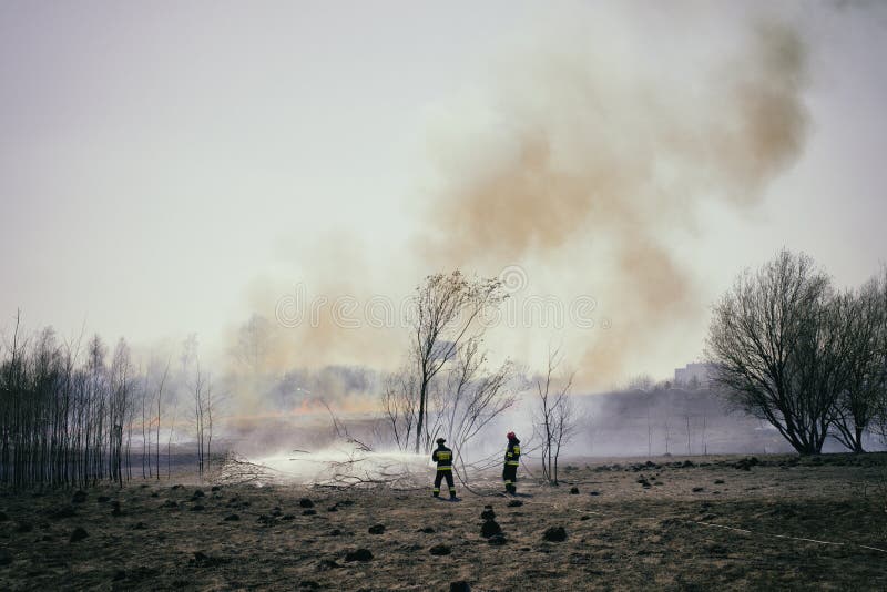 Fire on the meadow. stock photo. Image of burn, nature - 114147424