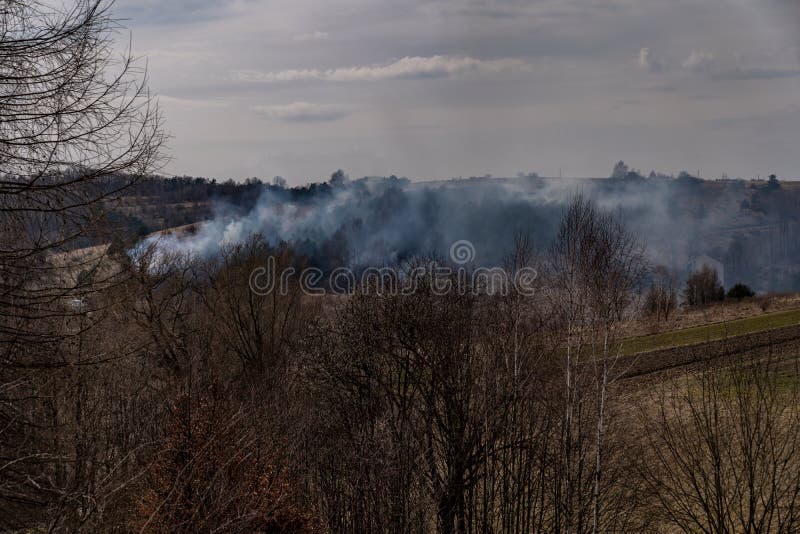 A Fire in a Meadow in the Forest, Caused by Thoughtless and Dangerous ...