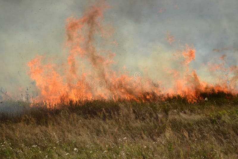 Fire meadows stock image. Image of burning, flame, prairie - 59264397
