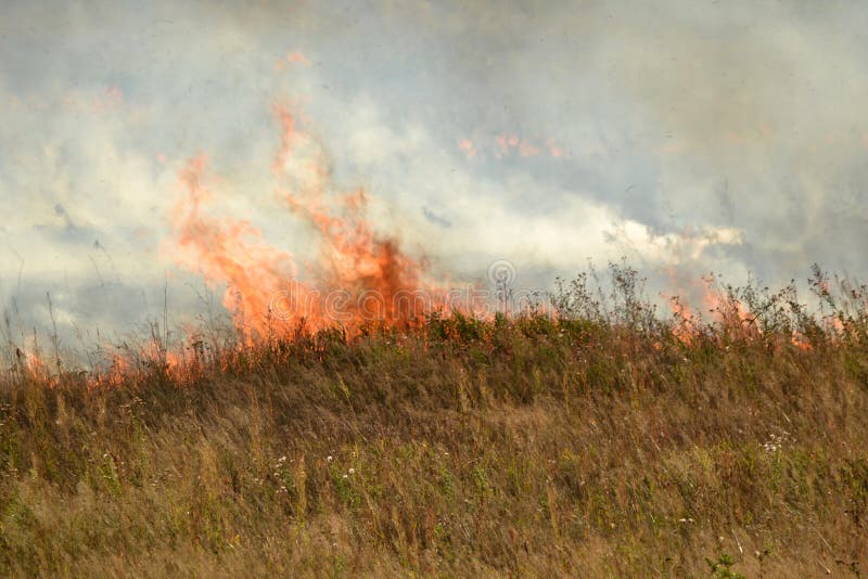 Fire meadows stock photo. Image of element, smoke, grass - 59264956