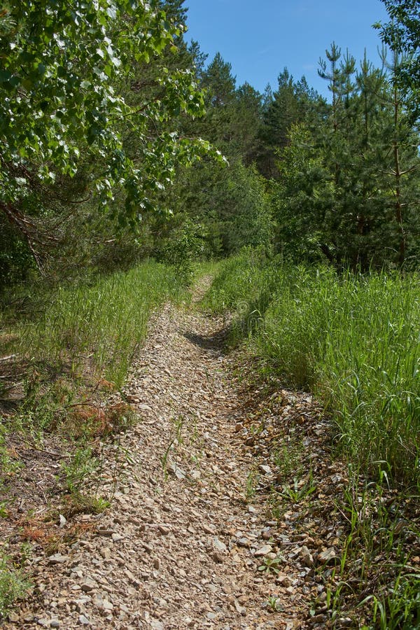 Fire Mineralized Strip stock image. Image of protection - 187058363