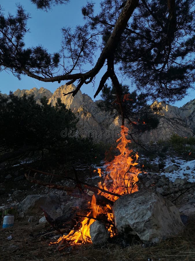 Fire Mountain tree stock photo. Image of hand, mountain - 174242968