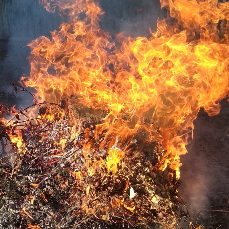 Fire in my garden stock image. Image of strength, fire - 161605281