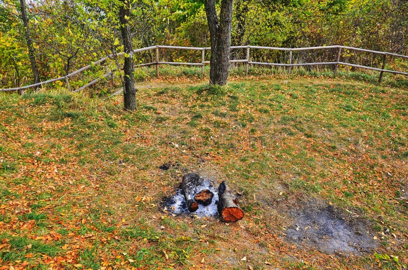 Fire in the Natural Environment Stock Image - Image of burnt, barbecue ...