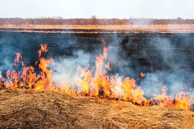Prescribed Prairie Burn On The Great Plains Stock Image - Image of ...