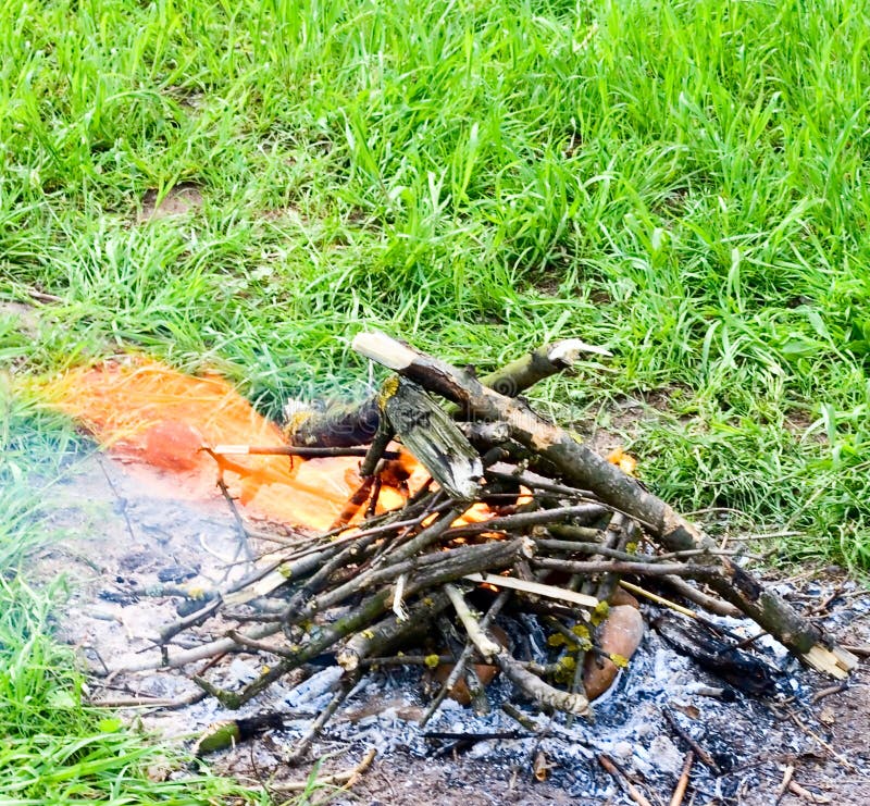 Fire On Nature Picture. Image: 5972387