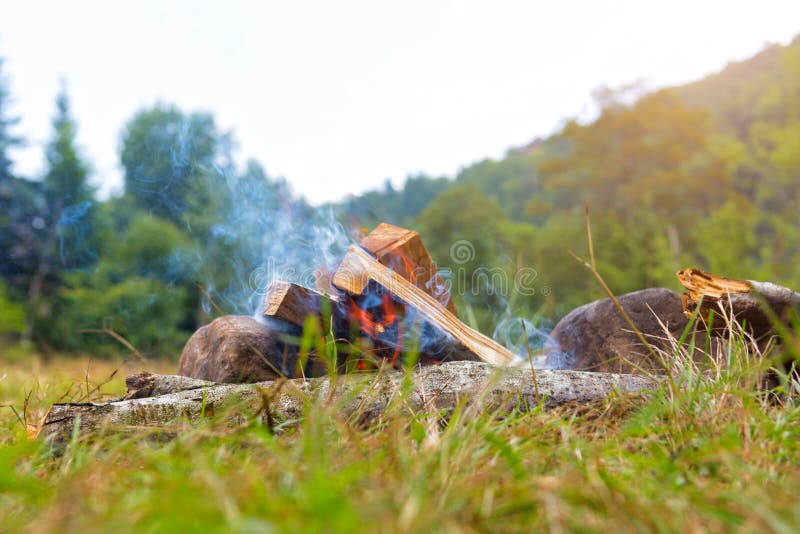 Fire in the Nature. Fire that Burns in the Nature Stock Image - Image ...