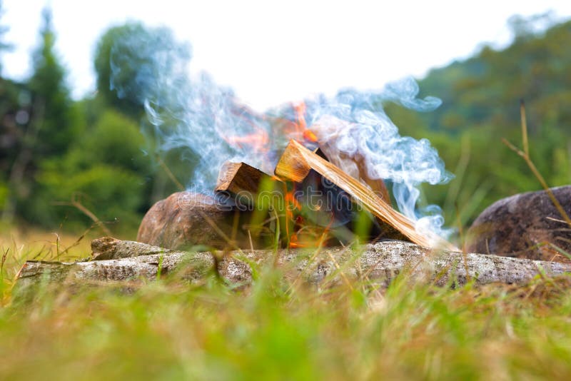Fire in the Nature. Fire that Burns in the Nature Stock Image - Image ...