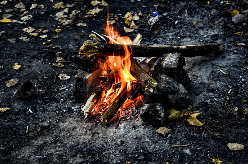 The fire on the nature stock photo. Image of forest - 112060628