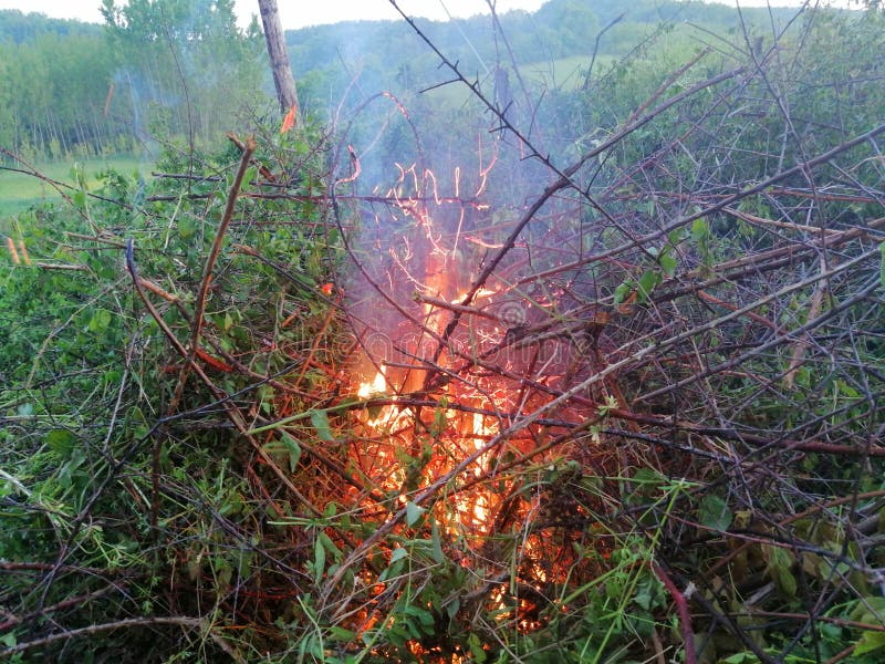 Fire in nature stock photo. Image of fire, orange, green - 147941618
