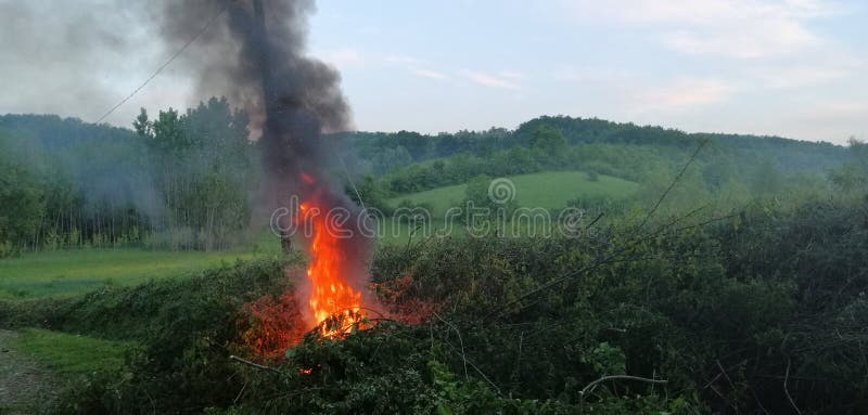 Fire in nature stock photo. Image of orange, nature - 147942234