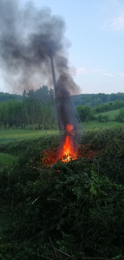 Fire in nature stock image. Image of green, orange, nature - 147942237